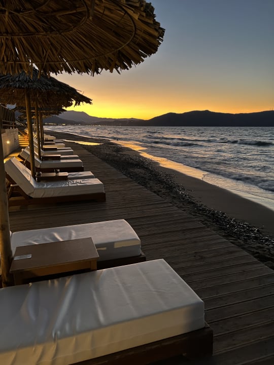 "Strand" Pepper Sea Club Hotel - Adults only (Georgioupolis ...