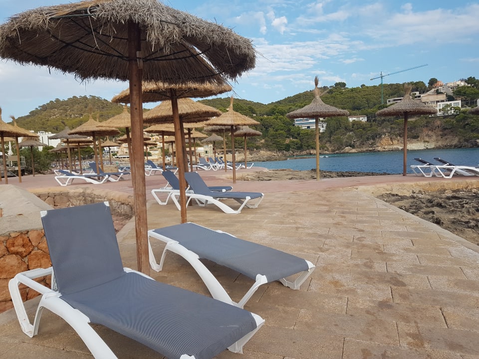 "Strand" Alua Gran Camp de Mar (Camp de Mar) • HolidayCheck (Mallorca ...