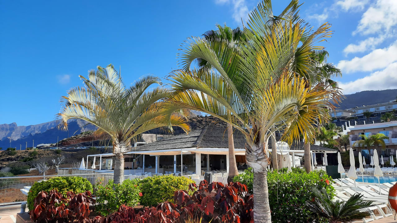 "Ausblick" Hotel Landmar Costa Los Gigantes (Puerto de Santiago ...