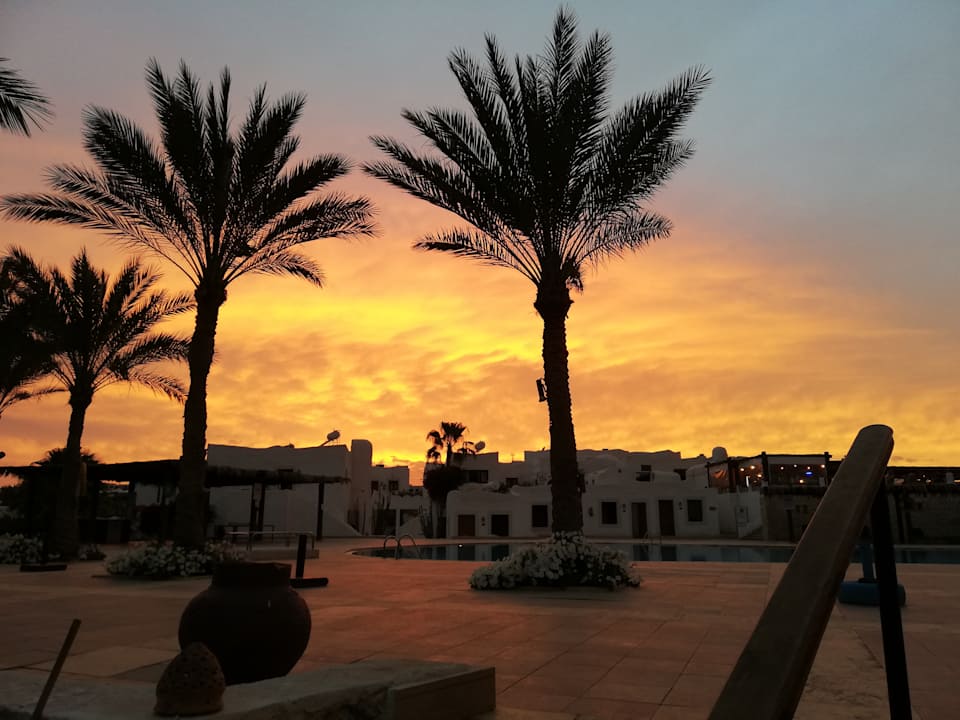 "Ausblick" Sharm Club Beach Resort (Sharm el Sheikh) • HolidayCheck ...