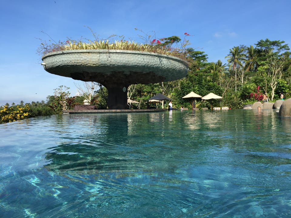 "Pool" Padma Resort Ubud (Payangan) • HolidayCheck (Bali | Indonesien)