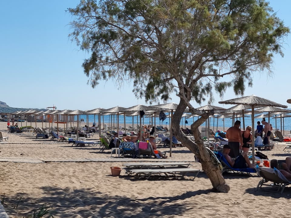 "Strand" Blue Sea Beach Resort (Faliraki) • HolidayCheck (Rhodos ...