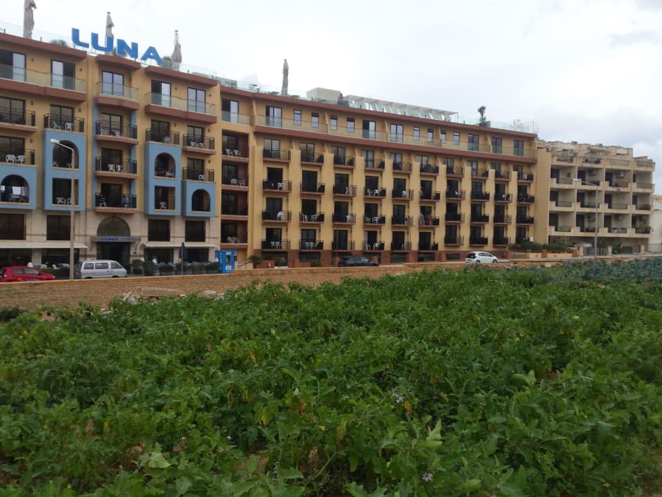 "Außenansicht" Luna Holiday Complex (Mellieha) • HolidayCheck ...