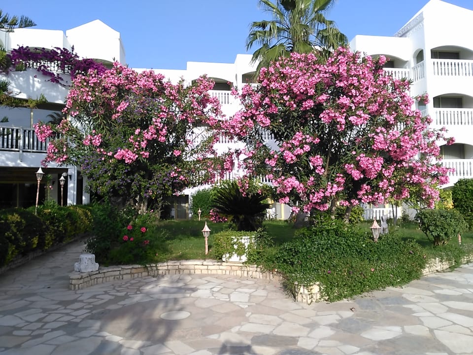 "Außenansicht" Hotel Defne Ana (Side) • HolidayCheck (Türkische Riviera ...