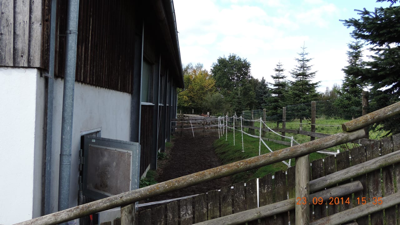 "Reitstall" Familienhotel Reiterhof Runding (Runding) • HolidayCheck ...