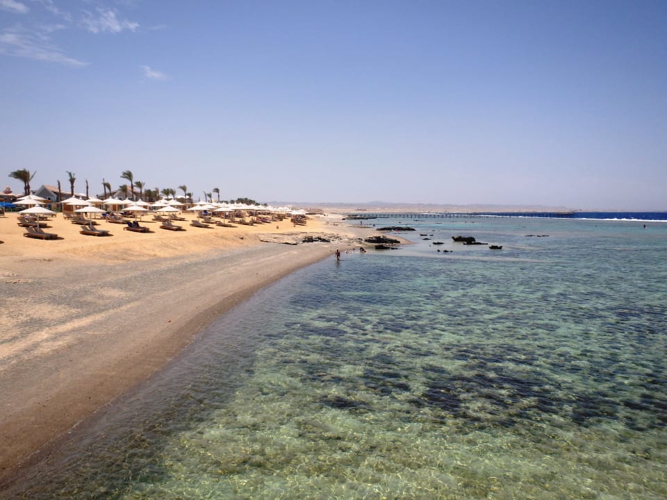 "Strand" Pickalbatros Sea World Resort - Marsa Alam (El Quseir ...