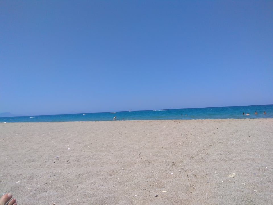 "Toller Sandstrand" Anita Beach Hotel (Rethymno) • HolidayCheck (Kreta ...