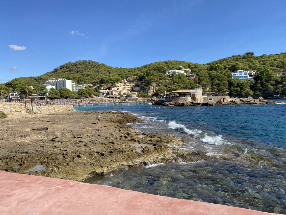 "Strand" Alua Gran Camp de Mar (Camp de Mar) • HolidayCheck (Mallorca ...