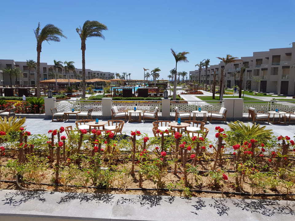 "Zimmer" Steigenberger Resort Ras Soma (Soma Bay) • HolidayCheck ...