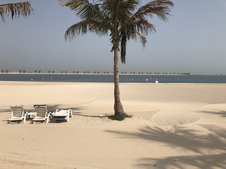 "Strand" JA Palm Tree Court (Dubai) • HolidayCheck (Dubai | Vereinigte ...