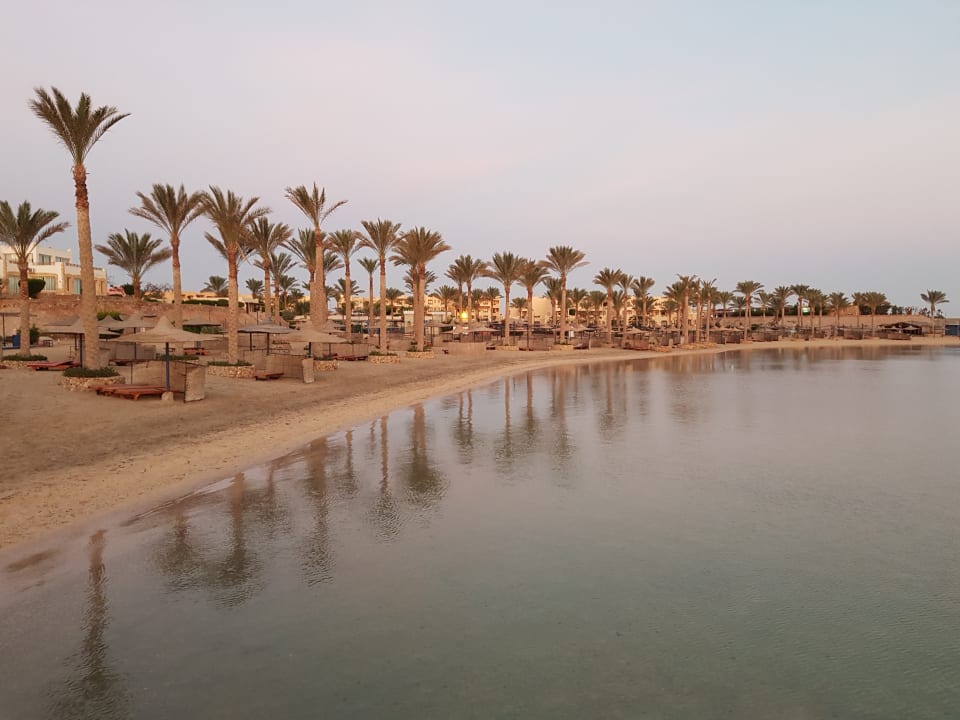 "Strand" Blend Elphistone Resort (Marsa Alam) • HolidayCheck (Marsa ...