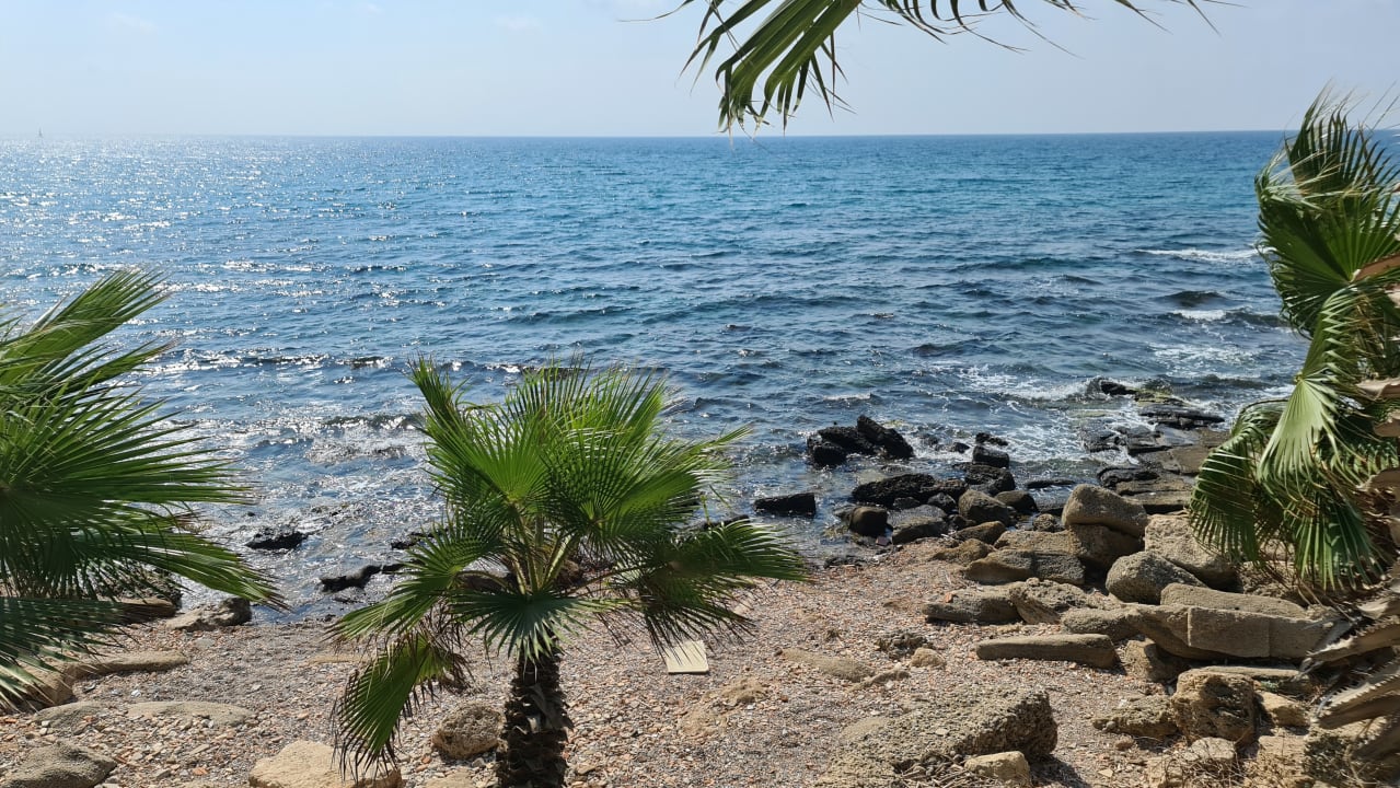 "Strand" Özlem Garden Hotel (Side) • HolidayCheck (Türkische Riviera ...