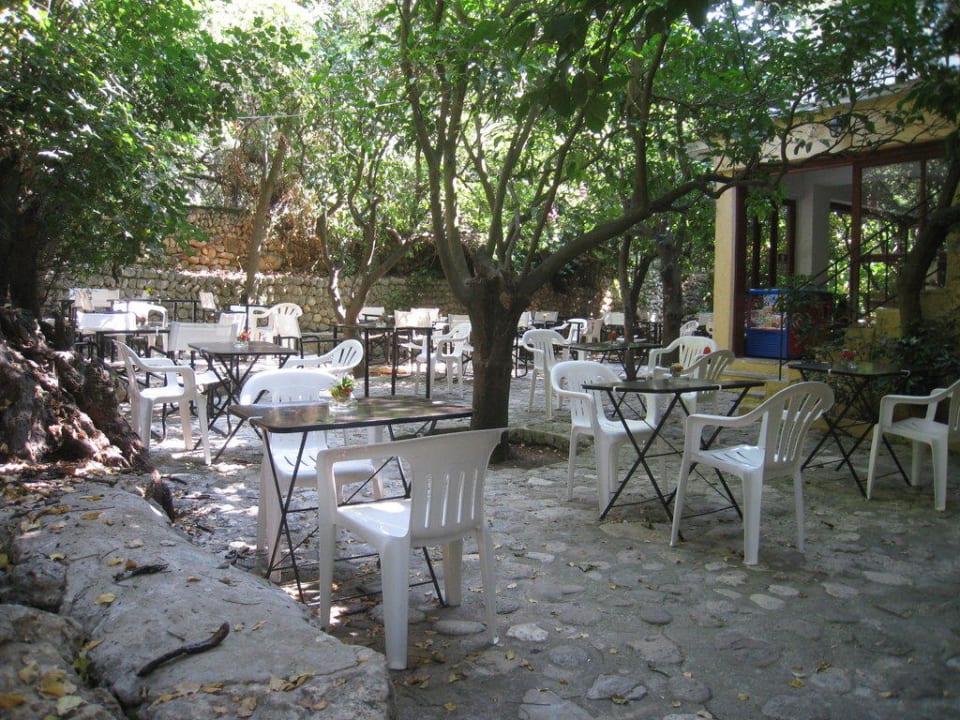 "Frühstück und Restaurant ..." Hotel Thalassino Trifilli (Lourdata ...