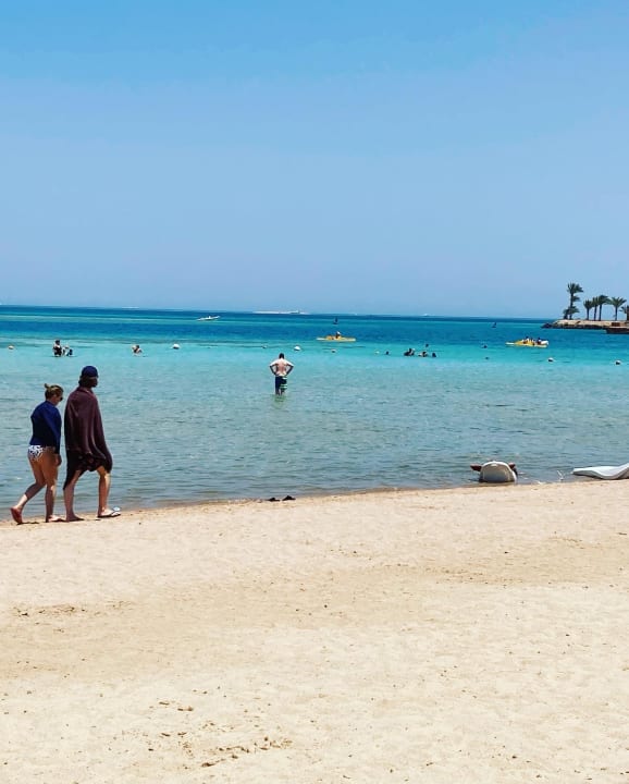 "Strand" Steigenberger ALDAU Beach Hotel (Hurghada) • HolidayCheck ...