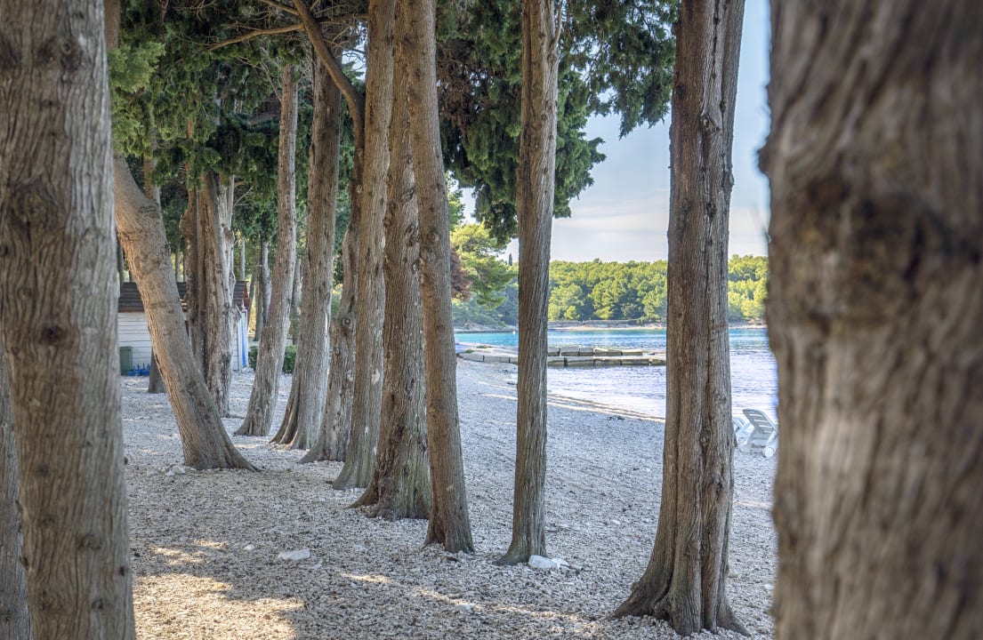 "Strand" Labranda Velaris Village (Supetar) • HolidayCheck (Dalmatien ...