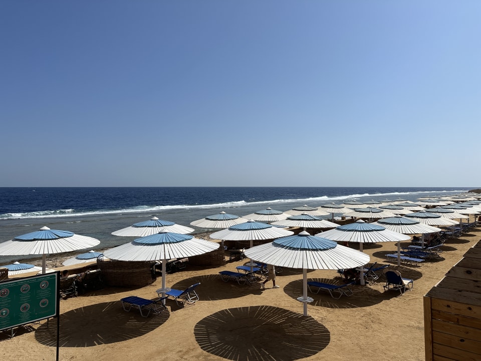 "Strand" Jaz Grand Marsa (Marsa Alam) • HolidayCheck (Marsa Alam/El ...