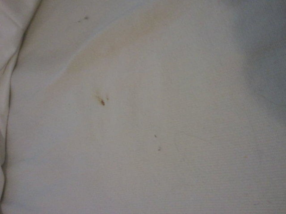 "Trace marron sur le drap" Houda Yasmine Marina & Spa (Hammamet-Yasmine ...