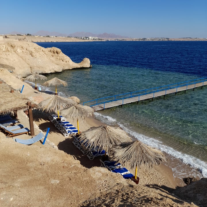 "Strand" Sharm Club Beach Resort (Sharm el Sheikh) • HolidayCheck ...