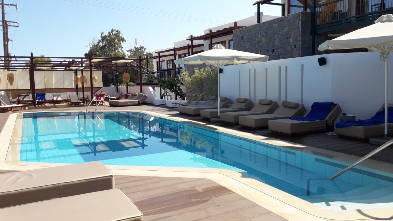 "Pool" Kalypso Hotel (Malia) • HolidayCheck (Kreta | Griechenland)