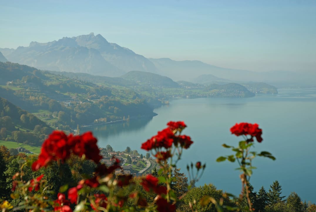 "Ausblick auf den Thunerse..." Hotel Meielisalp (Leissigen ...