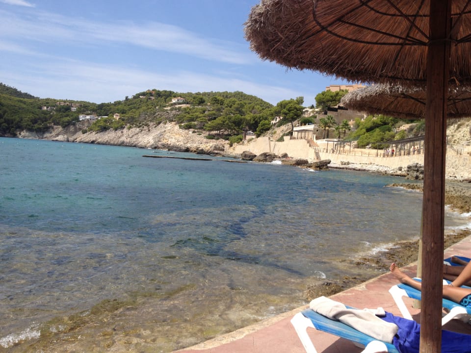 "Strand" Alua Gran Camp de Mar (Camp de Mar) • HolidayCheck (Mallorca ...