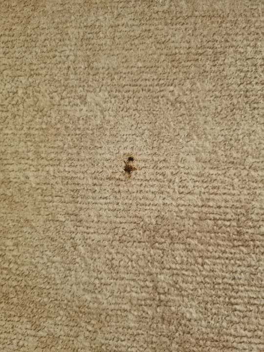 "Tote Fliege in der Dusche..." Amarina Abu Soma Resort & Aquapark (Abu ...