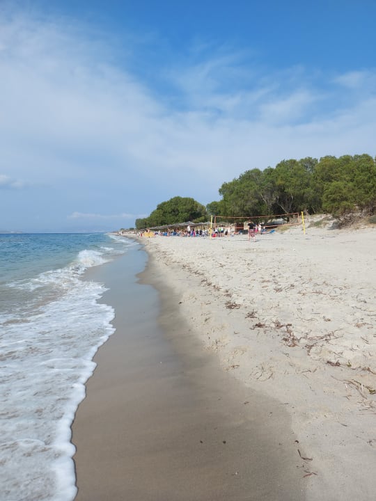 "Strand" E-GEO Easy Living Resort (Marmari) • HolidayCheck (Kos ...