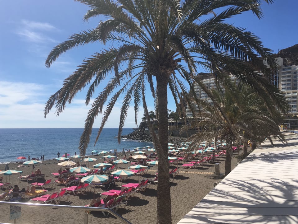 "Strand" Hotel LIVVO Valle Taurito (Taurito) • HolidayCheck (Gran ...