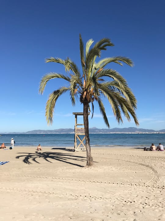 "Strand in der Nähe des Ho..." HSM Reina del Mar (El Arenal / S'Arenal ...