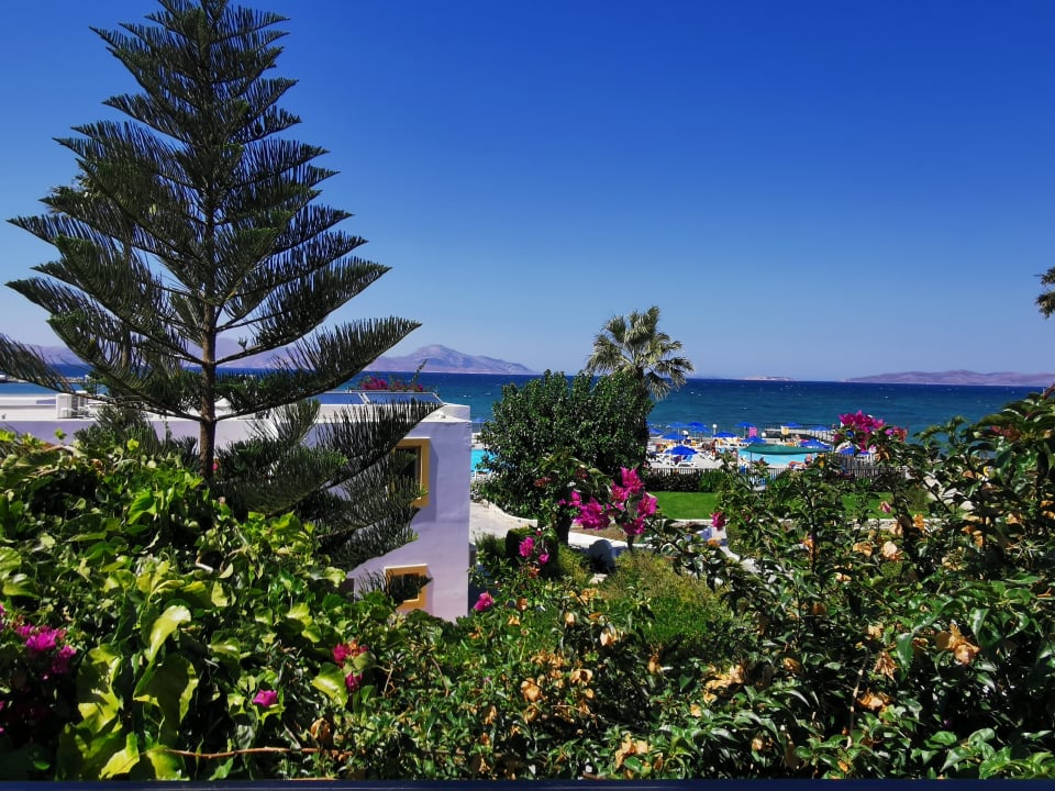 "Ausblick" Mastichari Bay Hotel (Mastichari) • HolidayCheck (Kos ...