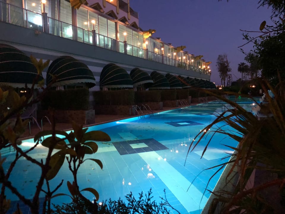 "Swim Up Zimmer " Hotel Delphin Imperial (Lara) • HolidayCheck ...