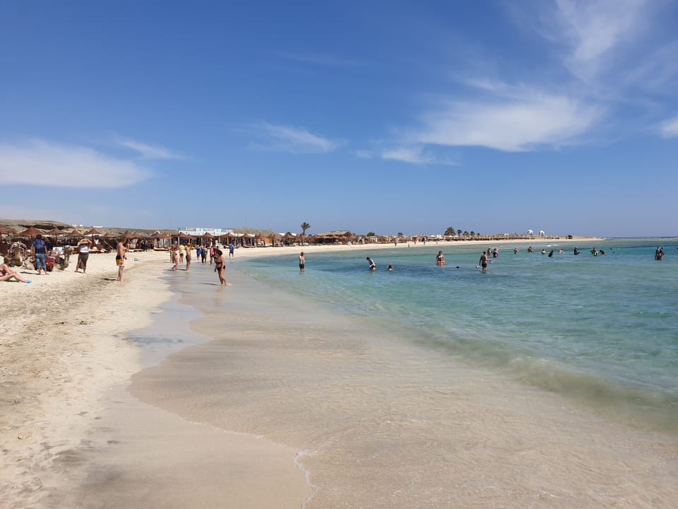 "Strand" Hilton Marsa Alam Nubian Resort (Marsa Alam) • HolidayCheck ...