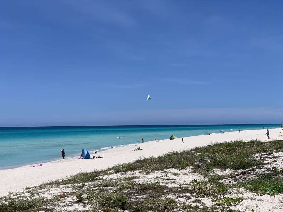 "Strand" Memories Jibacoa (Jibacoa) • HolidayCheck (Kuba Nordküste | Kuba)