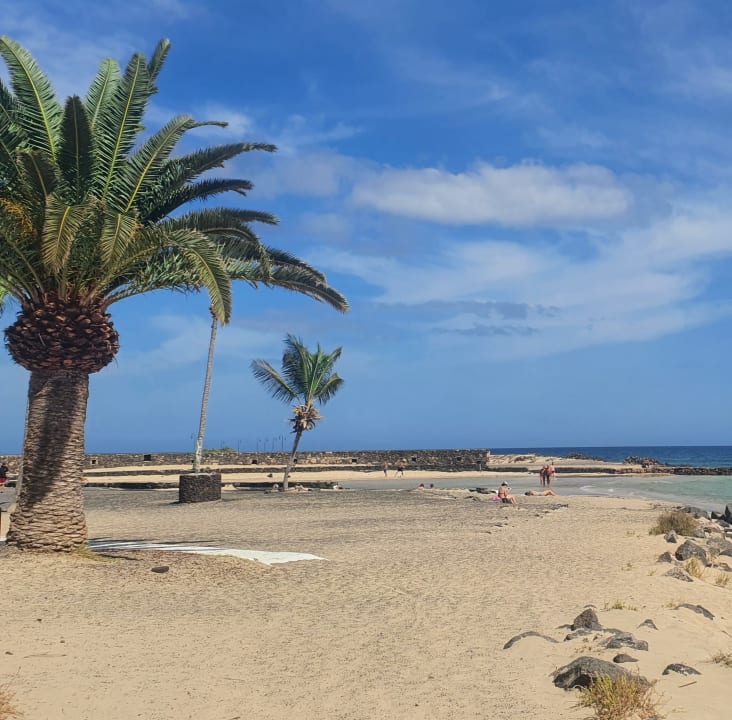 "Strand" allsun App.-Hotel Albatros (Costa Teguise) • HolidayCheck ...