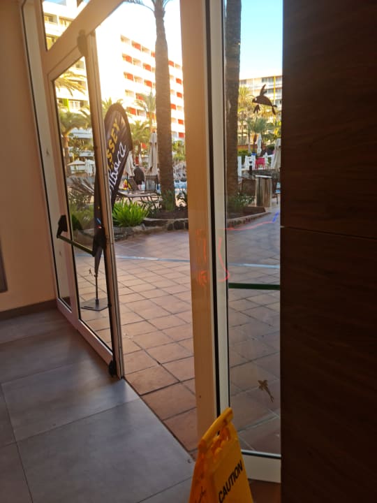"Alle Türen stehen offen. ..." Abora Buenaventura by Lopesan Hotels ...