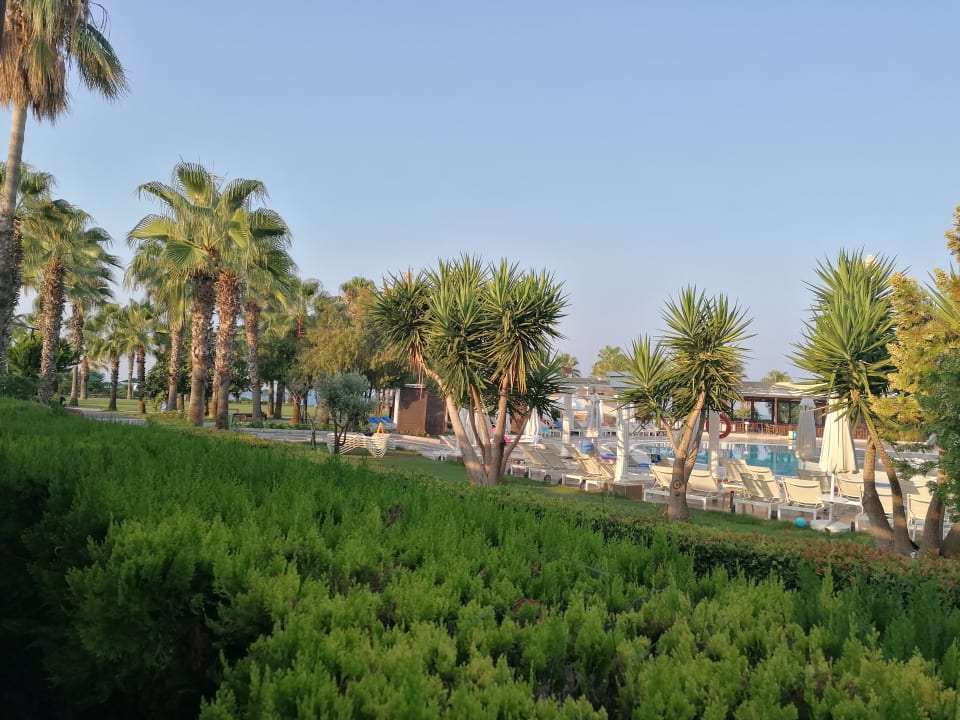 "Blick von der Terrasse " Kaya Side (Side - Titreyengöl) • HolidayCheck ...