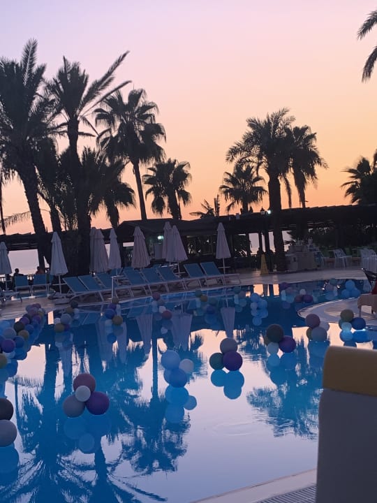 "Pool" Hotel Sandy Beach (Side) • HolidayCheck (Türkische Riviera | Türkei)