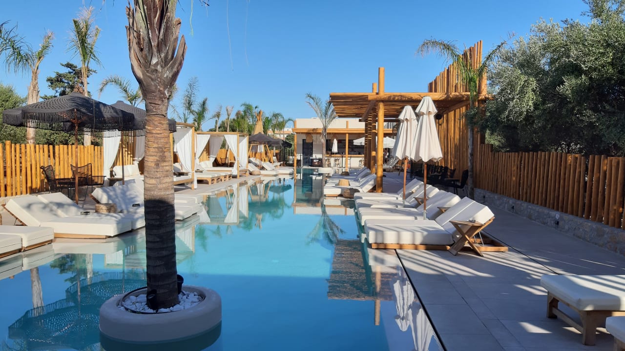 "Lobby" Indigo Inn (Chersónisos / Hersonissos) • HolidayCheck (Kreta ...