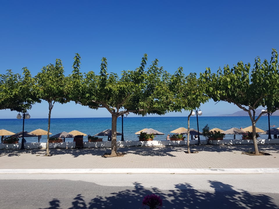 "Strand" Corissia Beach Hotel (Georgioupolis) • HolidayCheck (Kreta ...