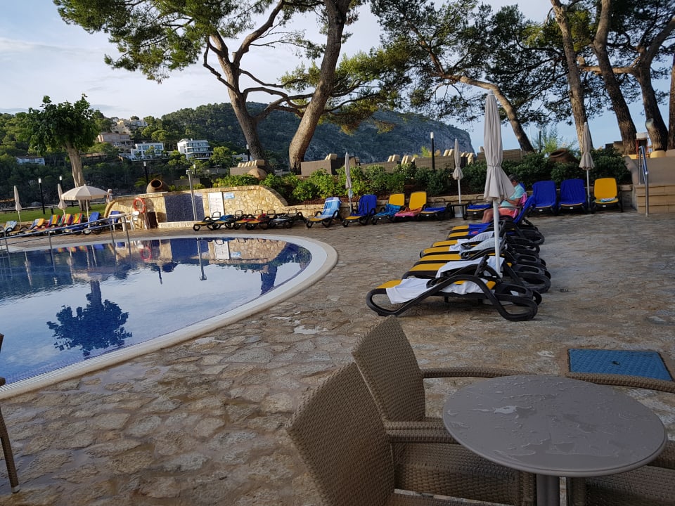 "Pool" Alua Gran Camp de Mar (Camp de Mar) • HolidayCheck (Mallorca ...