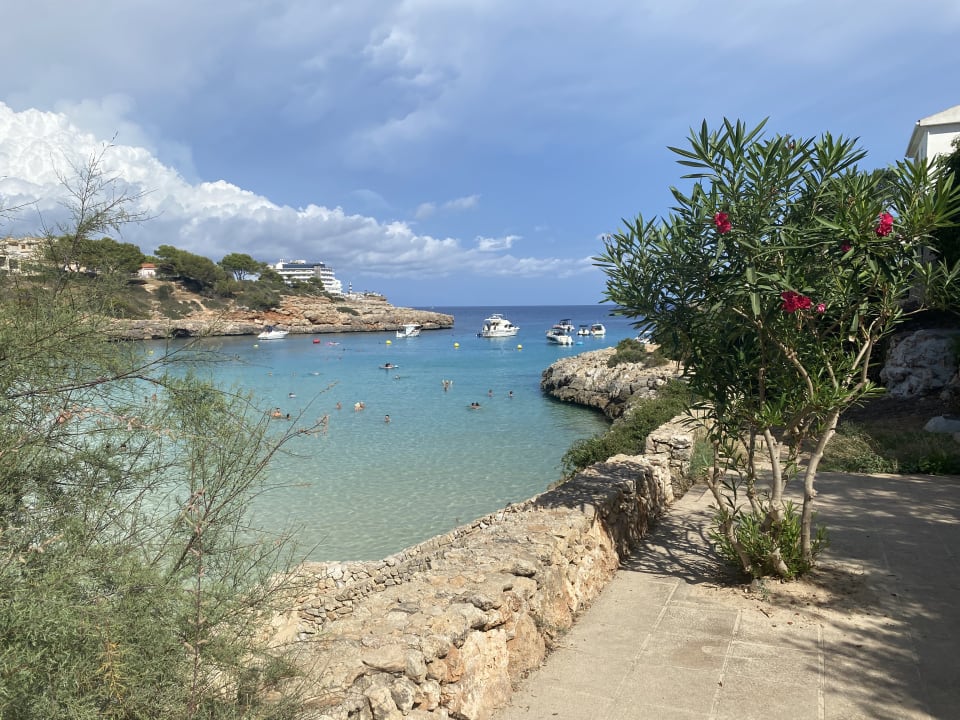 "Bucht Cala Marsal - sehr ..." JS Portocolom Suites (Porto Colom ...