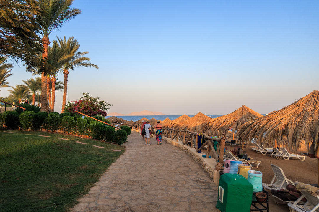 "Strand" Sharm Club Beach Resort (Sharm el Sheikh) • HolidayCheck ...