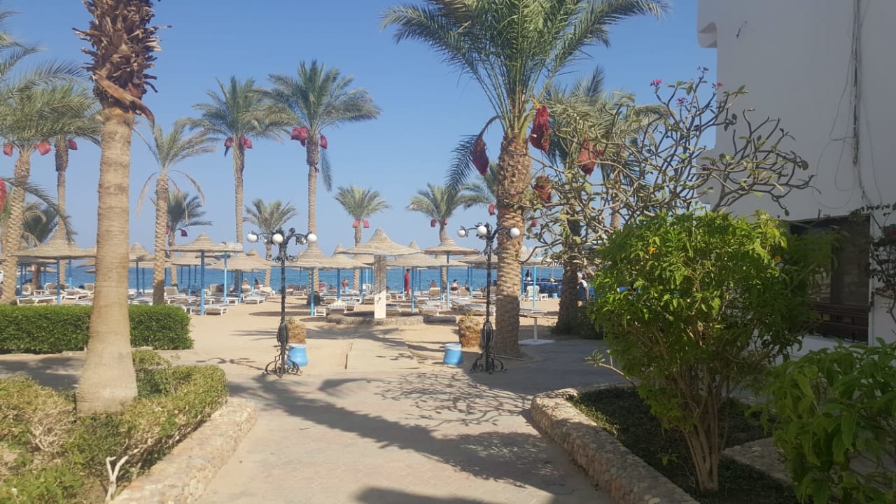 "Ausblick" Marlin Inn Azur Resort (Hurghada) • HolidayCheck (Hurghada ...