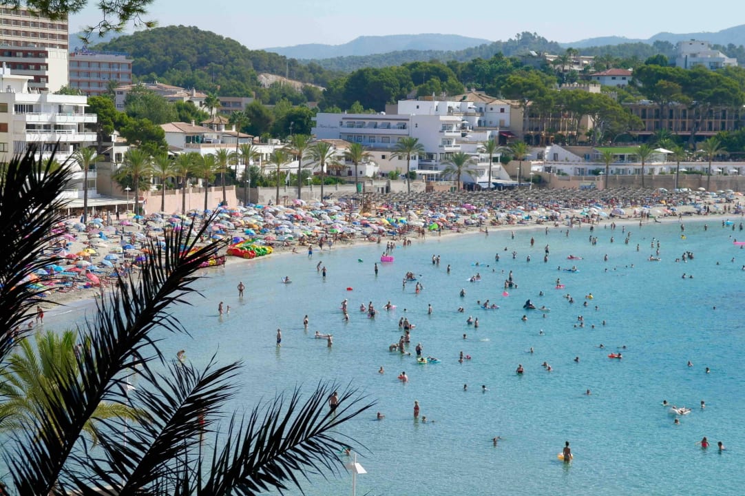 "Blick auf den Strand" allsun Hotel Paguera Park (Peguera ...
