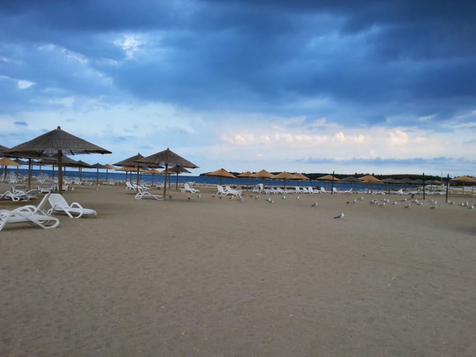 "Strand" FKK Valalta (Rovinj) • HolidayCheck (Istrien | Kroatien)