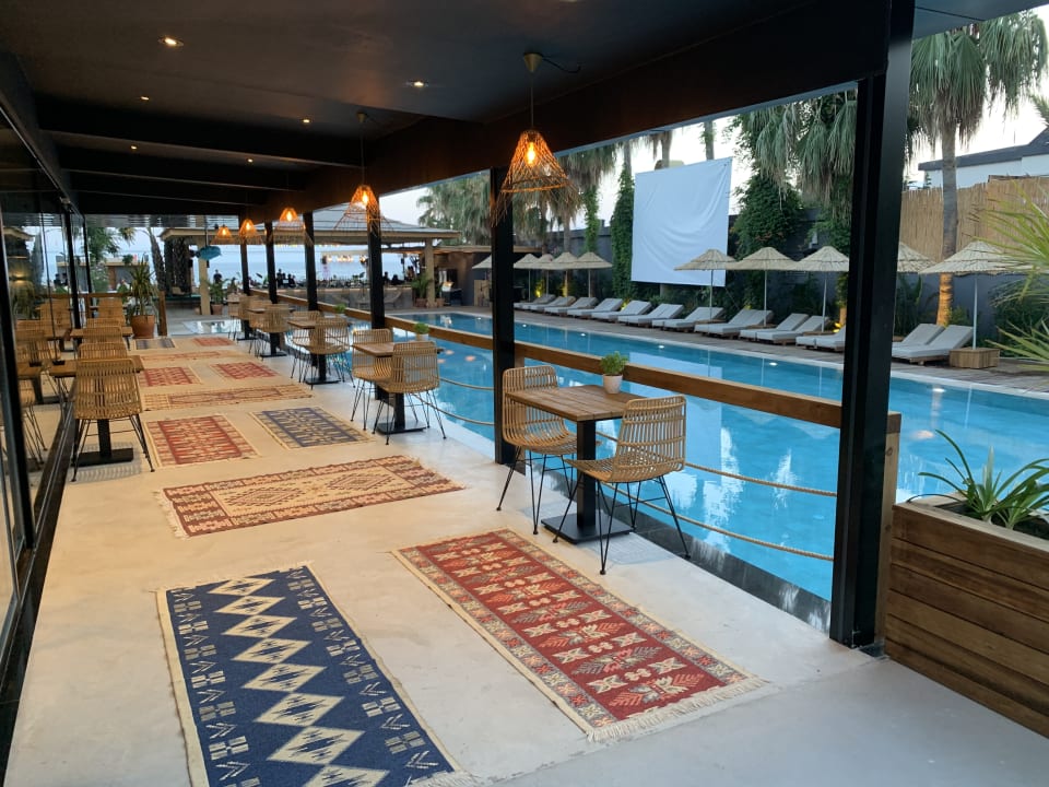 "Pool" Cook's Club Alanya (Alanya) • HolidayCheck (Türkische Riviera ...