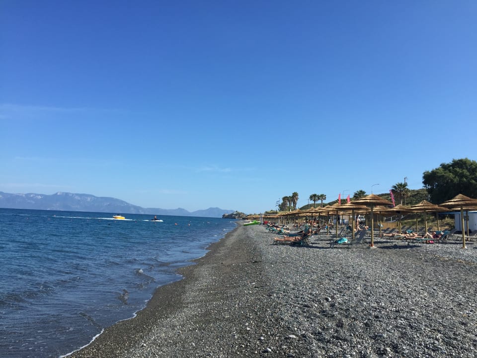 "Strand" Blue Lagoon Ocean (Psalidi) • HolidayCheck (Kos | Griechenland)