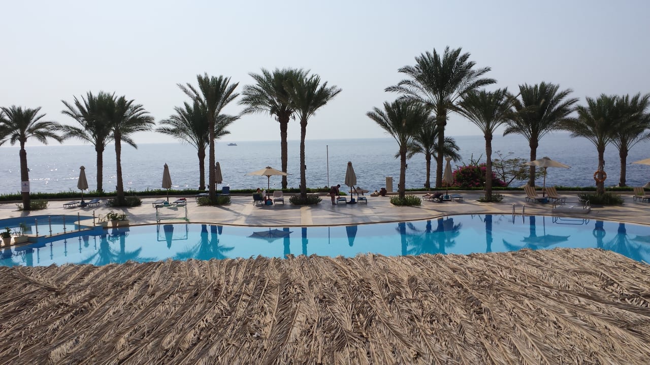 "Ausblick" Sharm Club Beach Resort (Sharm el Sheikh) • HolidayCheck ...