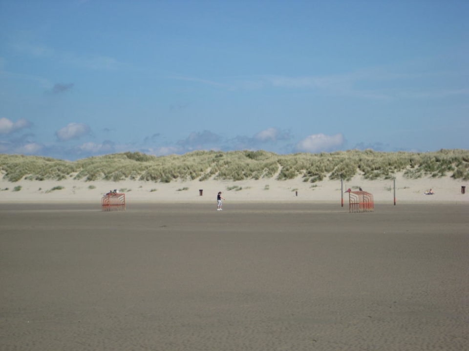 "Blick vom Meer zum Strand" Center Parcs Port Zélande (Ouddorp ...