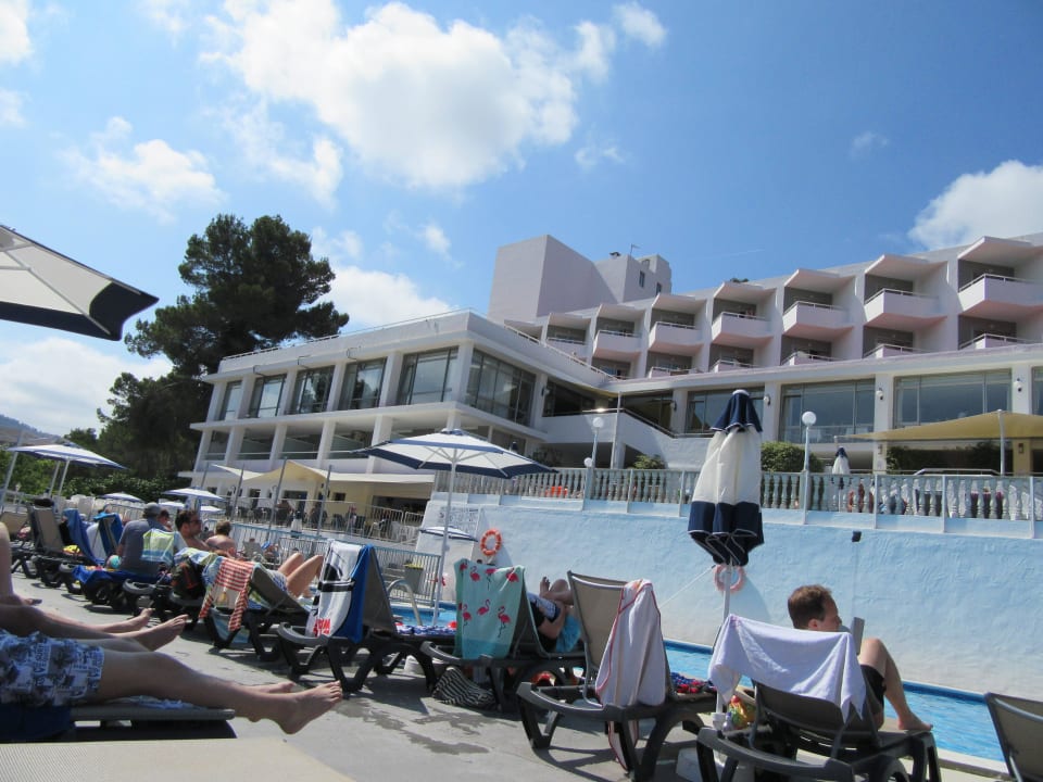 "Ausblick von kleiner Tera..." Sandos El Greco Beach Hotel 16 ...
